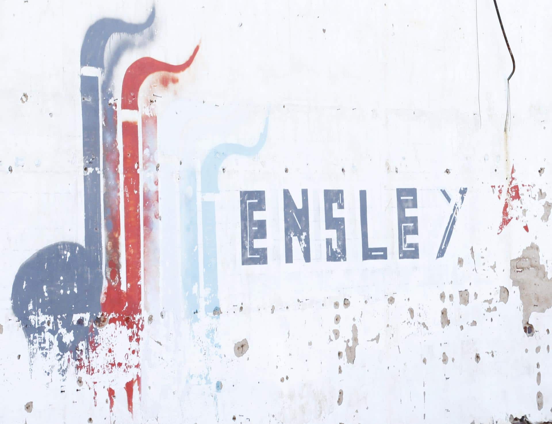 The Junction: Stories from Ensley, Alabama - Janice Houston Nixon ...