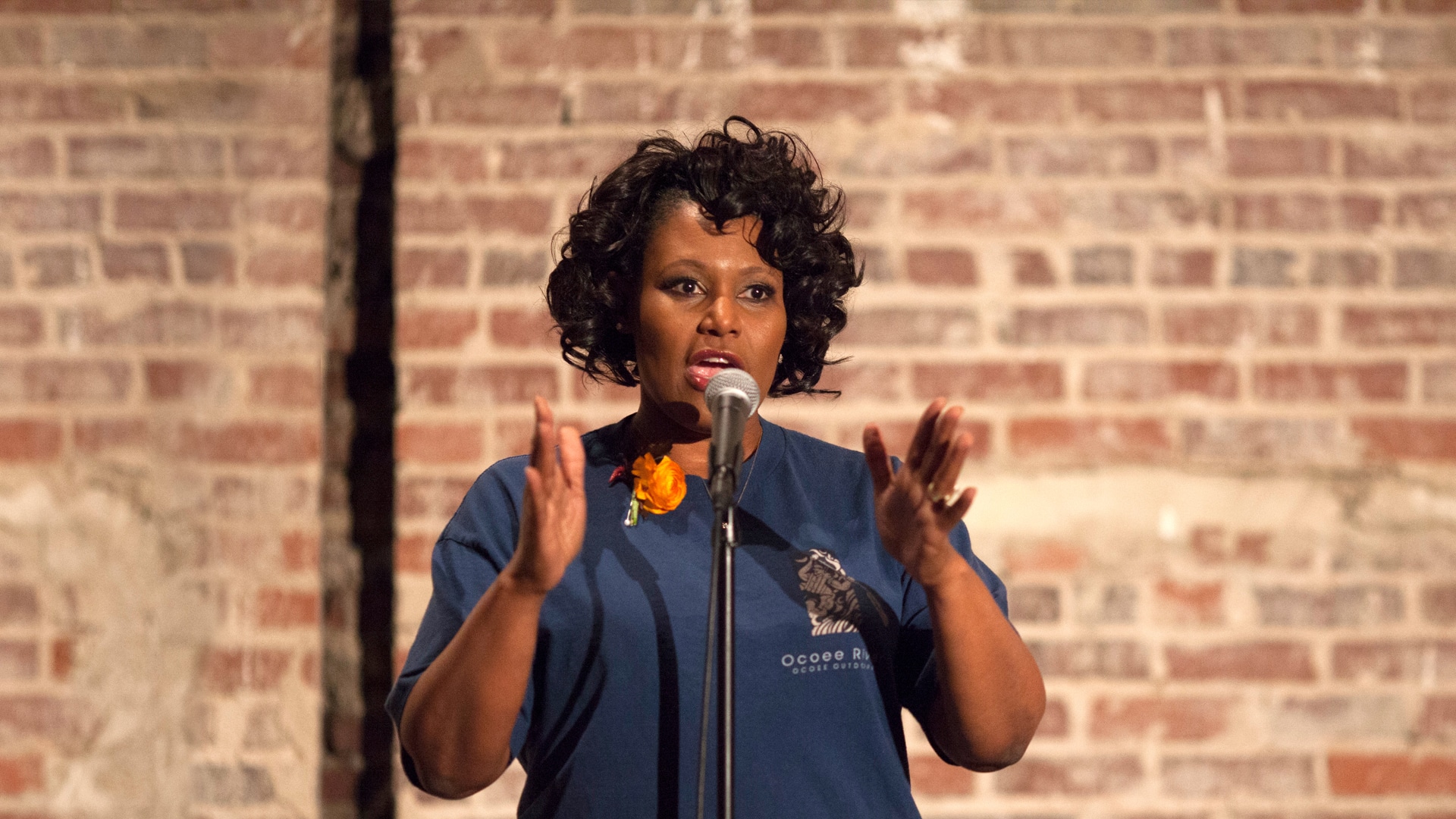 Arc Stories: September 2016 Edition | WBHM 90.3