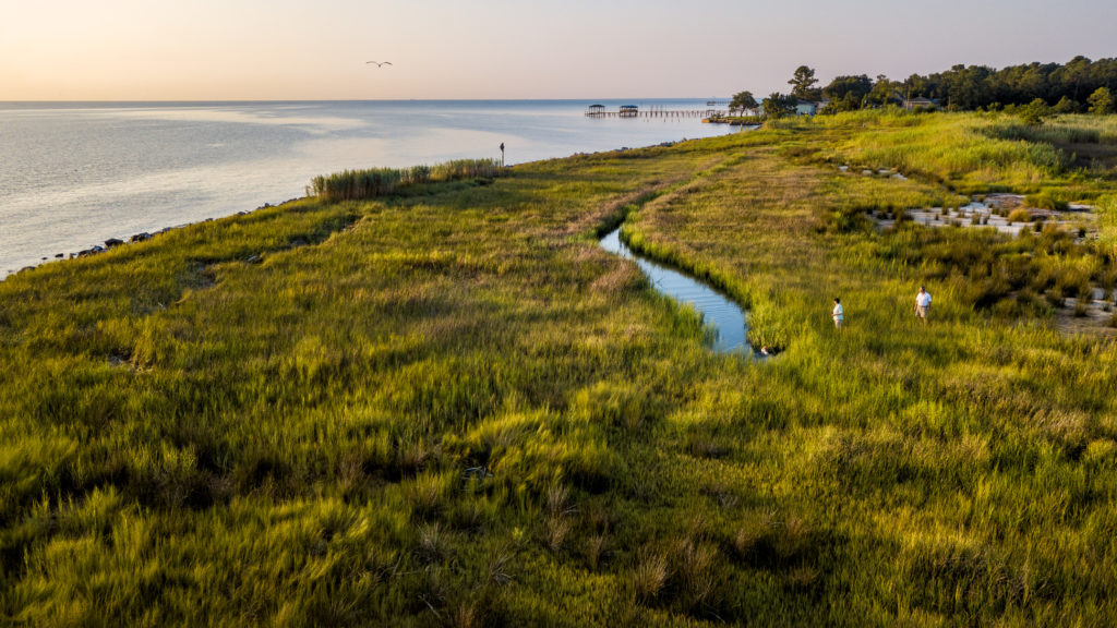Changing Climate: Many in Coastal Alabama Act Now to Rebuild Shorelines ...