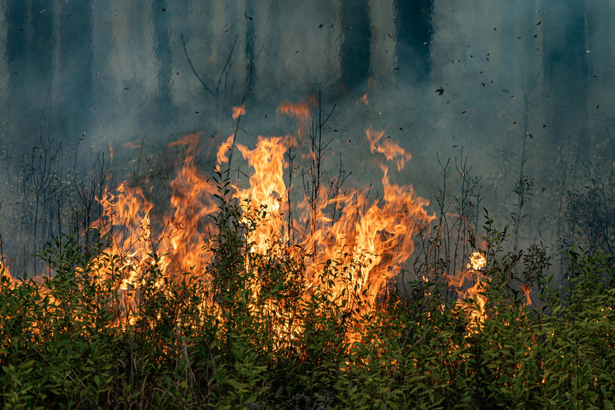 What’s Causing Birmingham’s Code Red Air Quality Alert? | WBHM 90.3