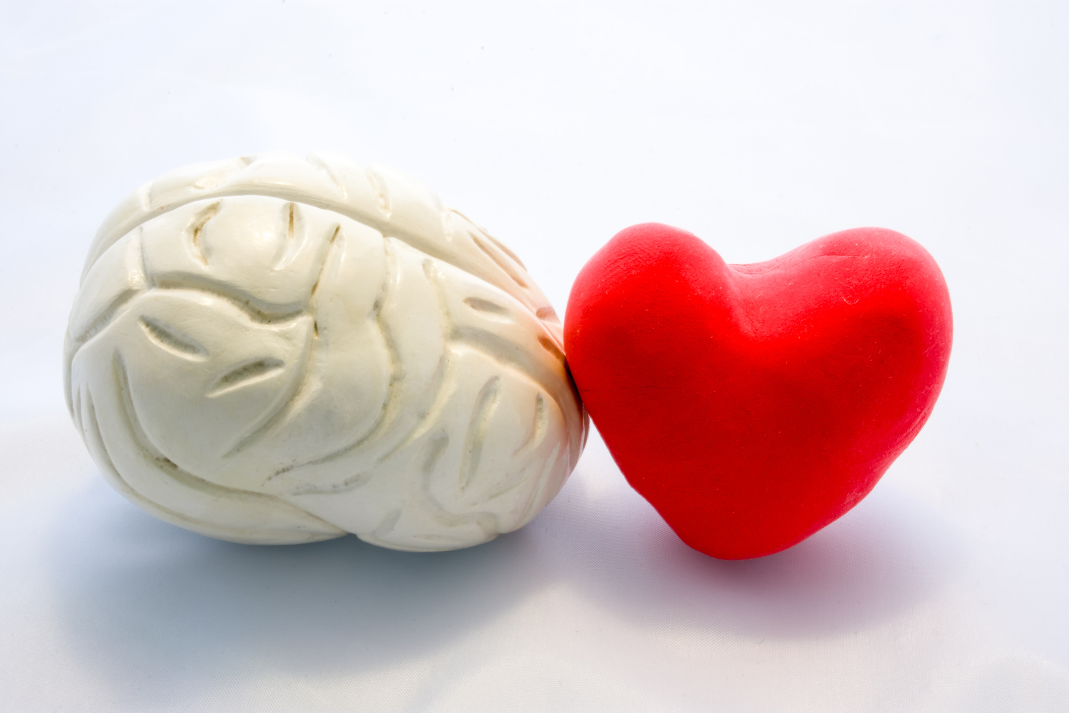 Scientists shed new light on the brain’s role in heart attack | WBHM 90.3
